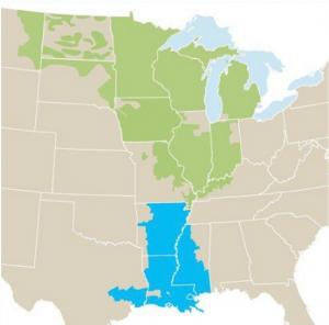 Drive Electric Minnesota - Drive Forward